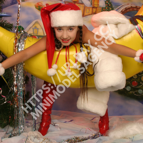 ls land 03 merry christmas cover - PTI Image