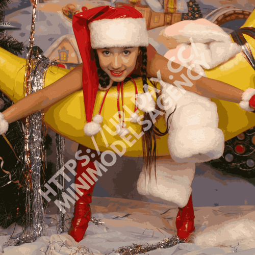 ls land 03 merry christmas cover 14 11zon - PTI Image